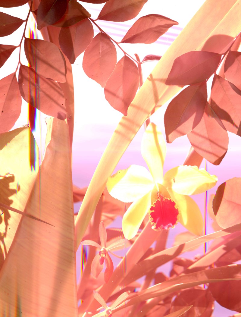 The Sun Scans New Growth - Miami International Airport