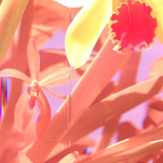 Miami International Airport - Art & Exhibitions - Miami International ...